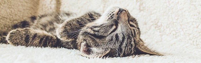 La rTMS : pour qui, déroulement des séances, contre-indications - Carenity